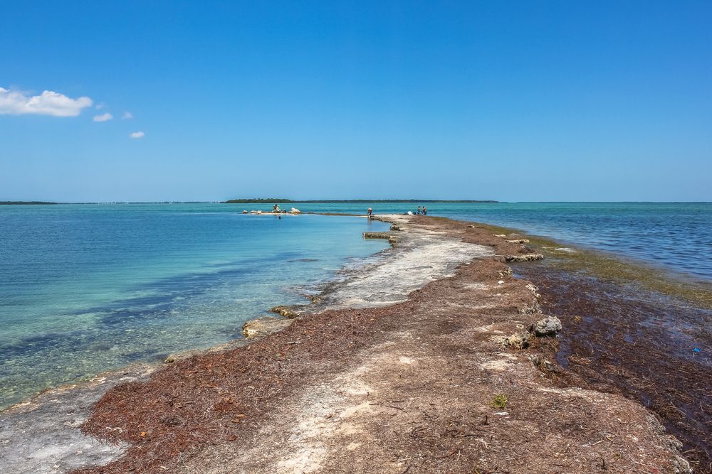 15 Best Things to Do in Big Pine Key, FL - Travel Lens