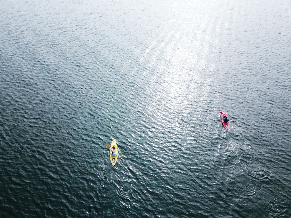 20 Best Things to Do in Lexington, SC - Travel Lens