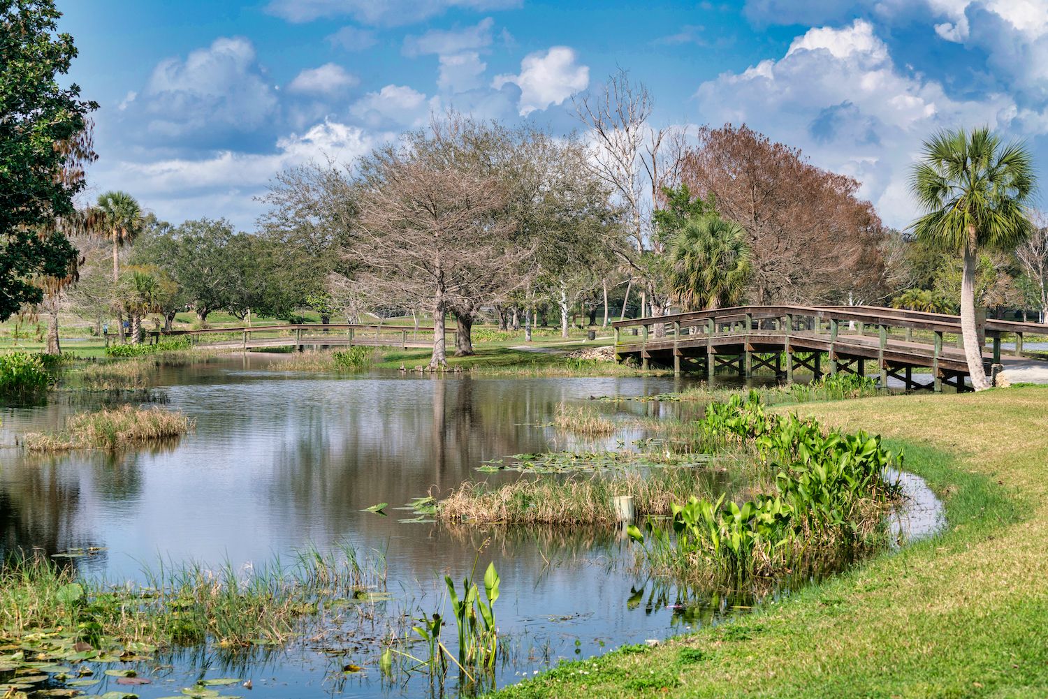 15 Best Things to Do in Leesburg, FL - Travel Lens