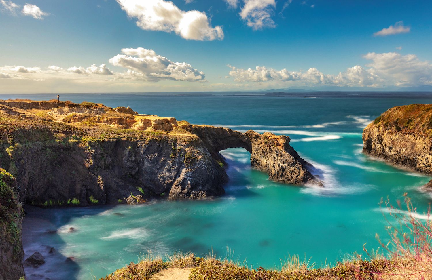 15 Best Things to Do in Mendocino County, CA - Travel Lens