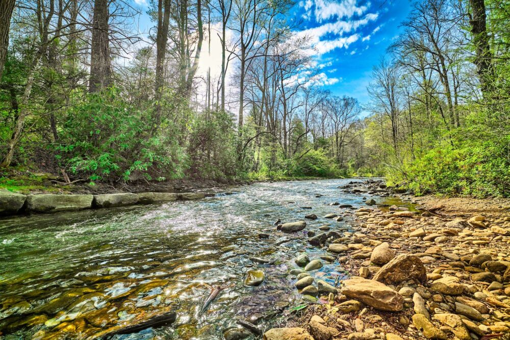 15 Best Things to Do in Mills River, NC - Travel Lens