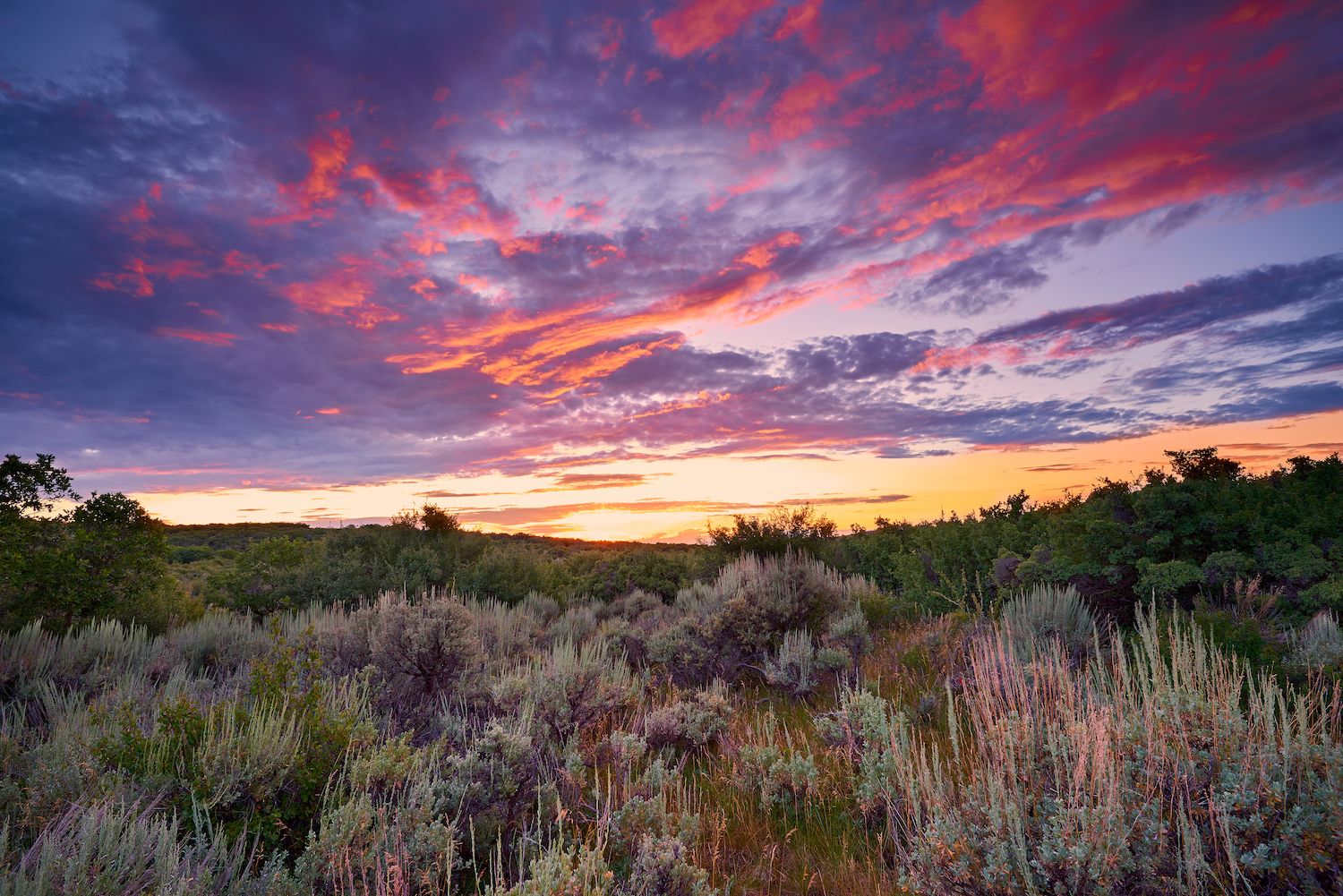 20 Best Things to Do in Montrose, CO - Travel Lens