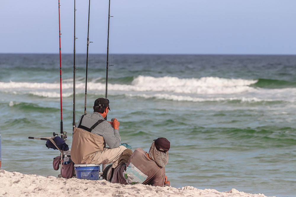 20 Best Things to Do in North Florida - Travel Lens