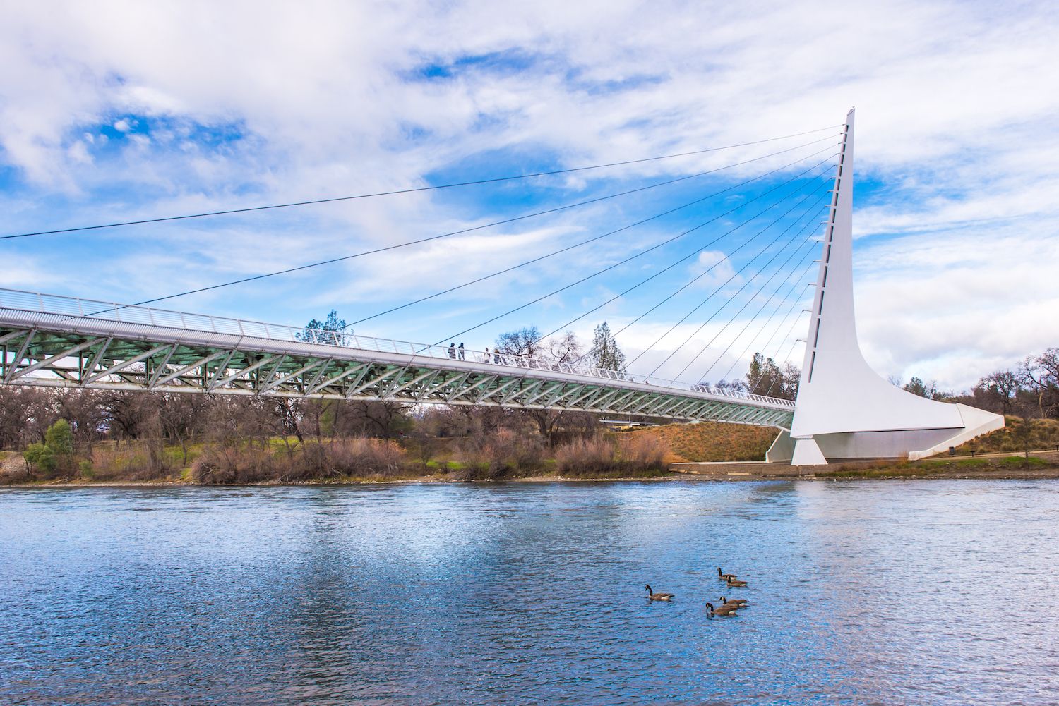 20 Best Things to Do in Redding, CA - Travel Lens