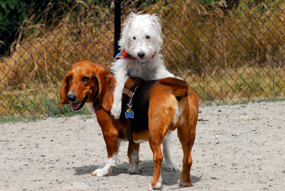 15 Best Things to Do in Silverdale, WA - Travel Lens