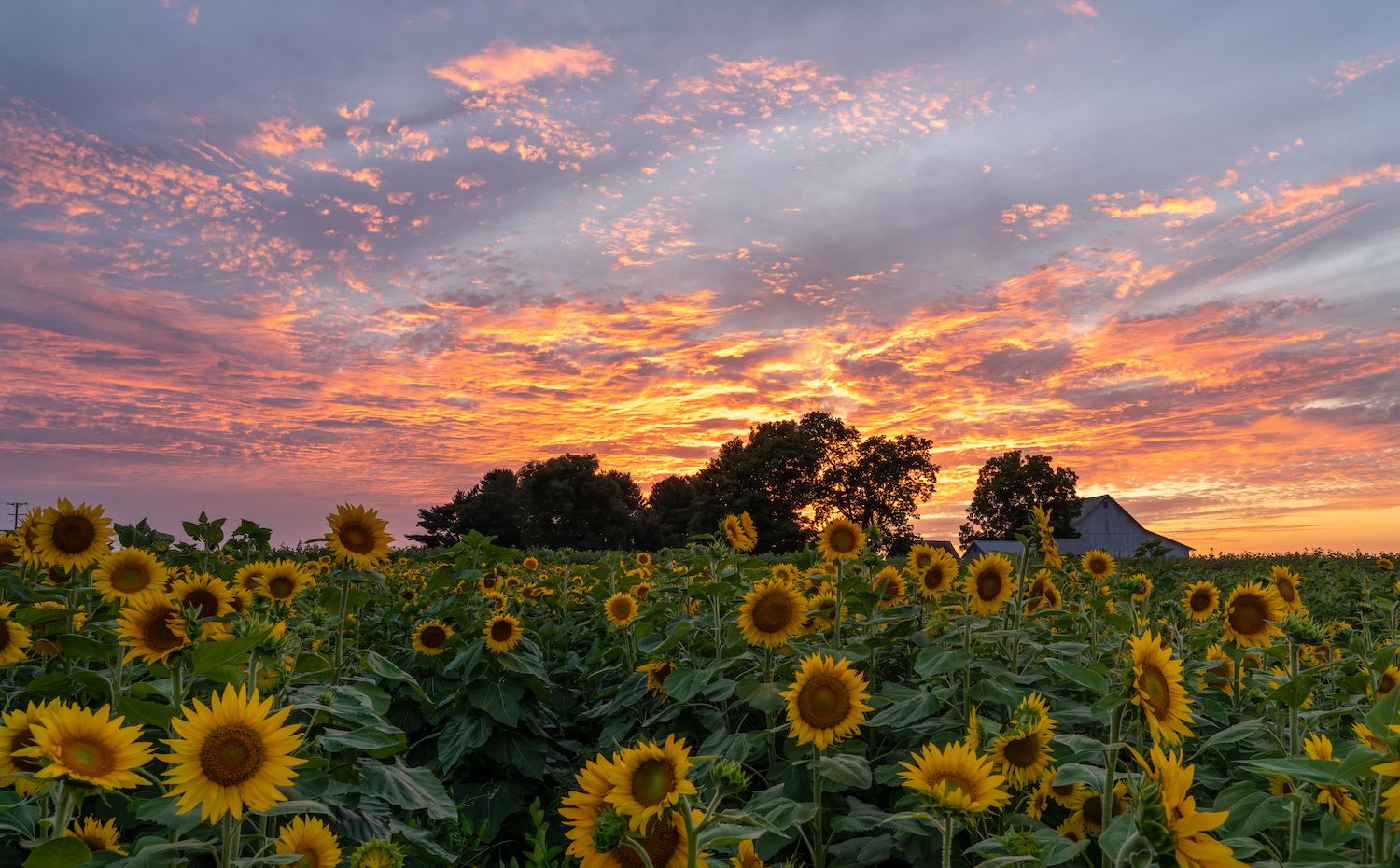 20 Best Things to Do in Tiffin, OH - Travel Lens