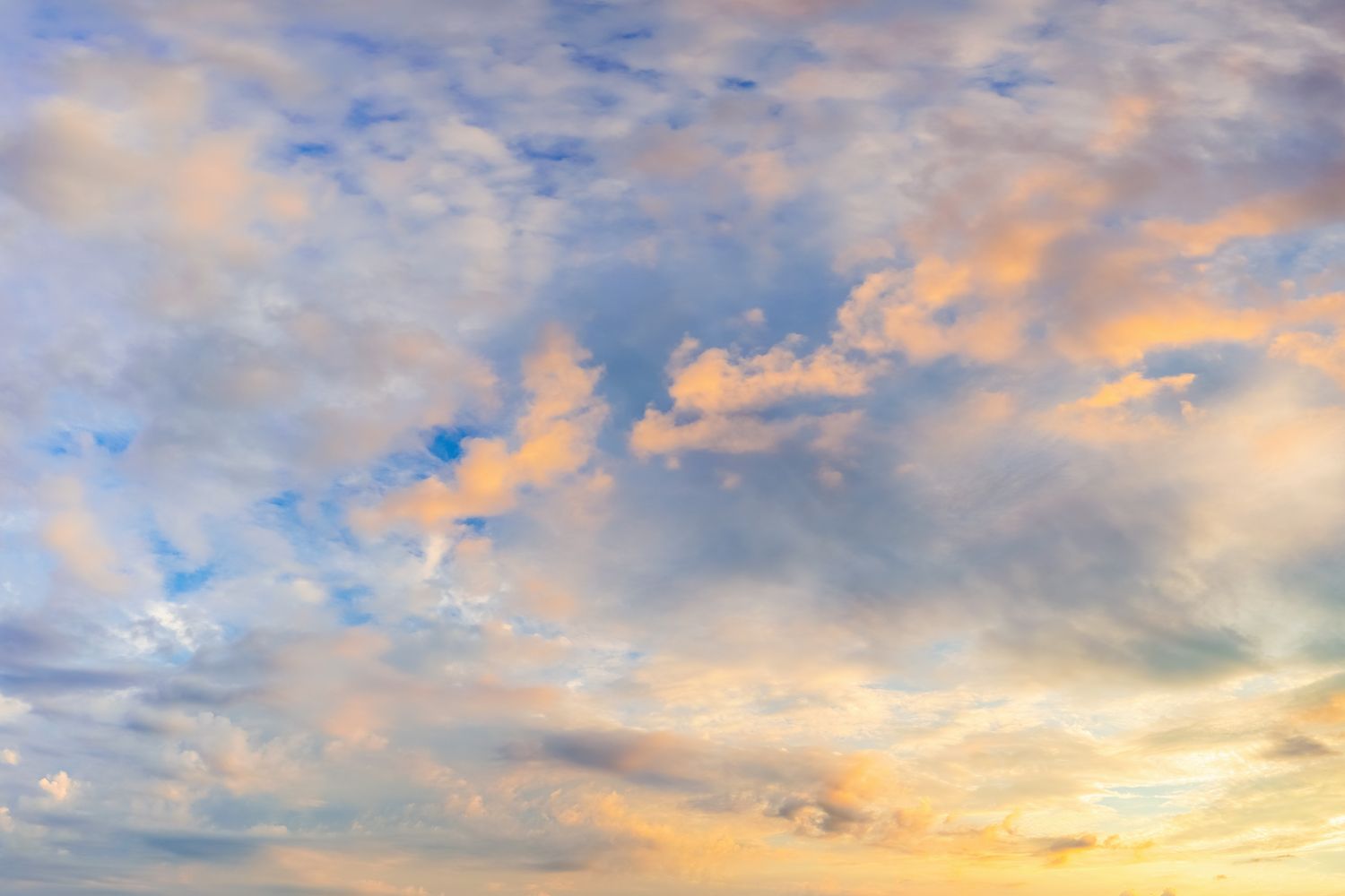 20 Best Things to Do in Ukiah, CA - Travel Lens