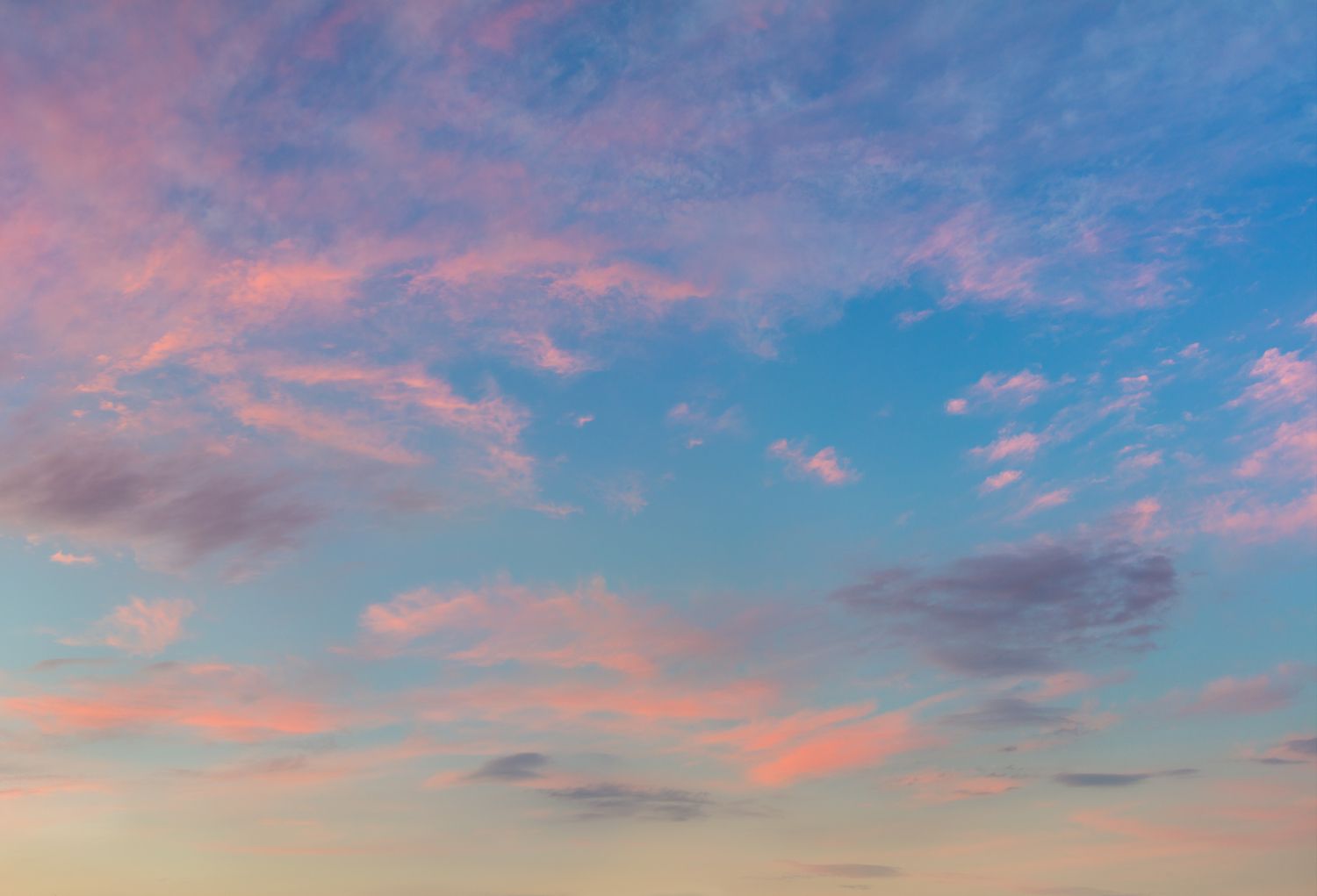 16 Free Things to Do in Union, NJ - Travel Lens