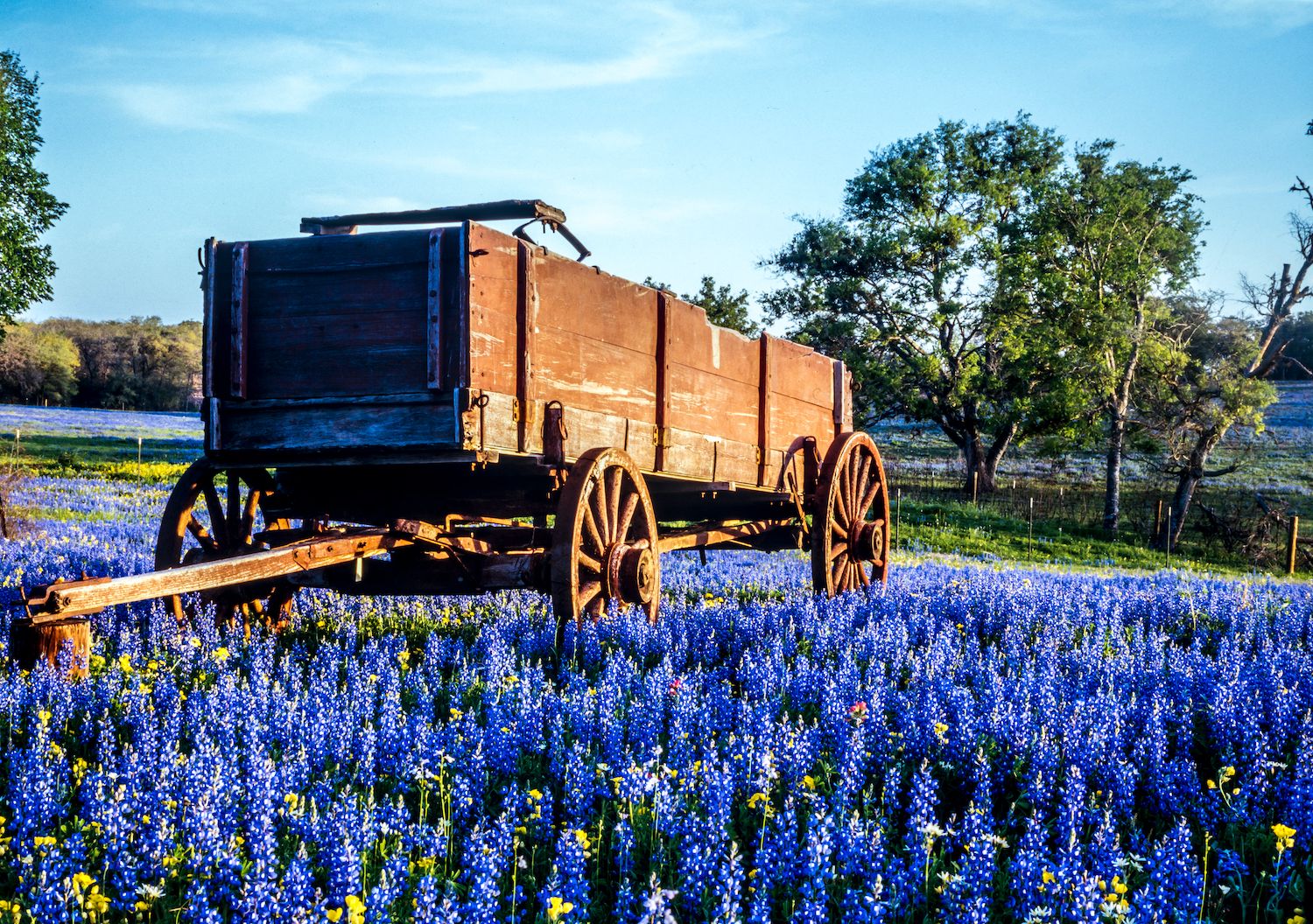 15 Best Things to Do in Bandera, TX - Travel Lens