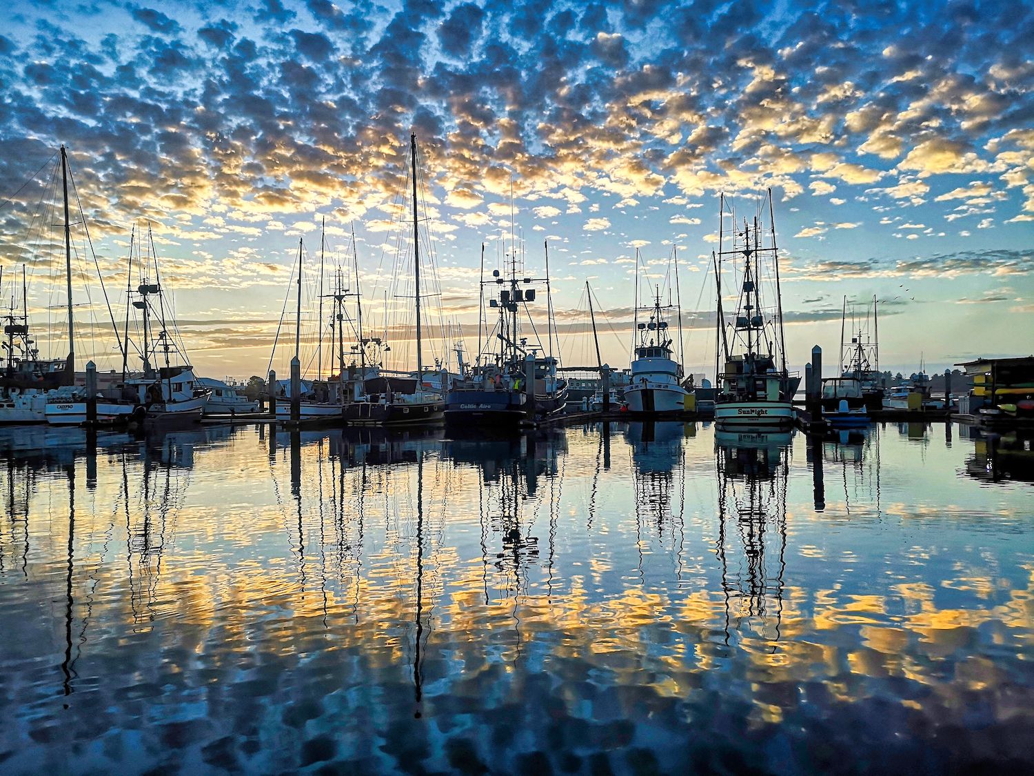 20 Best Things to Do in Eureka, CA - Travel Lens