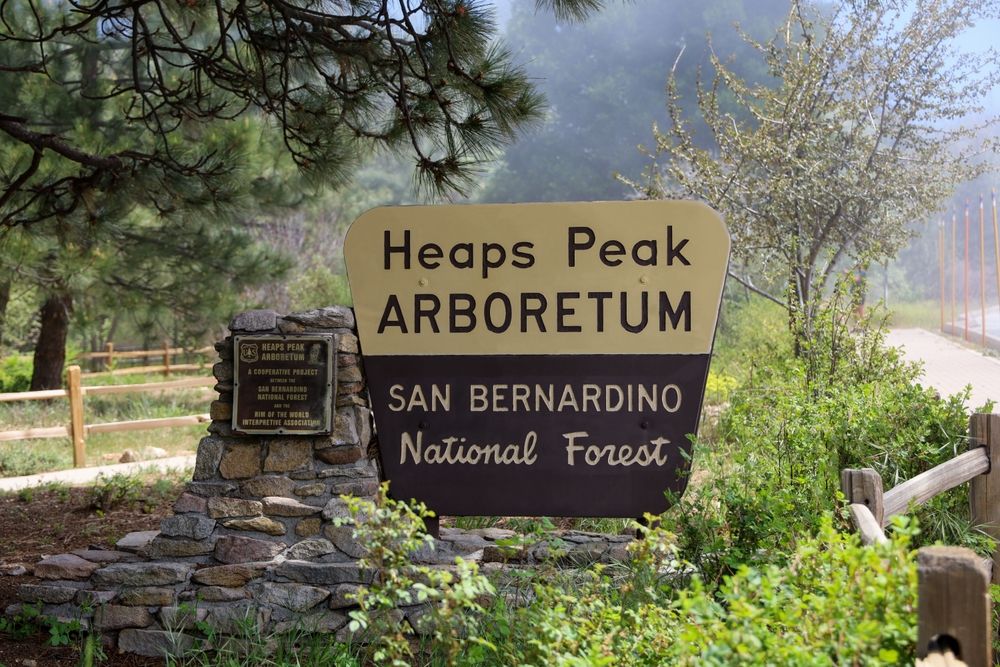 25 Best Things to Do in Lake Arrowhead, CA - Travel Lens