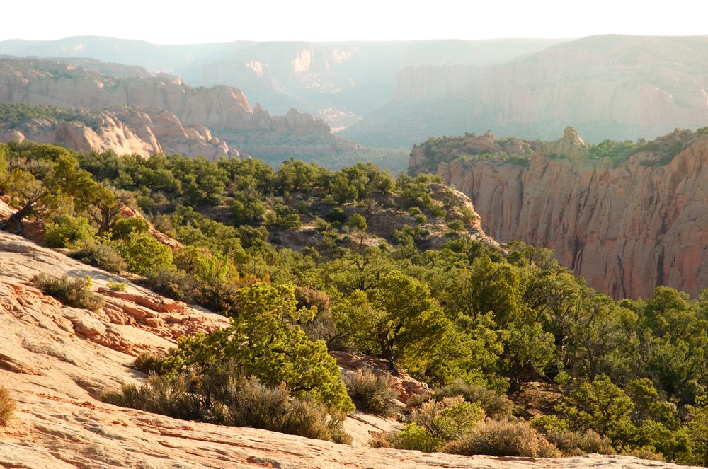 15 Best Things to Do in Navajo County, AZ - Travel Lens