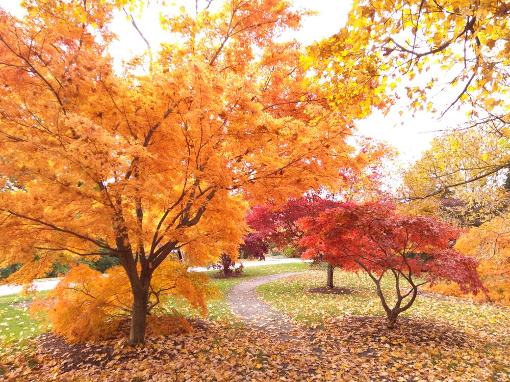 15 Best Things to Do in Parsippany, NJ - Travel Lens