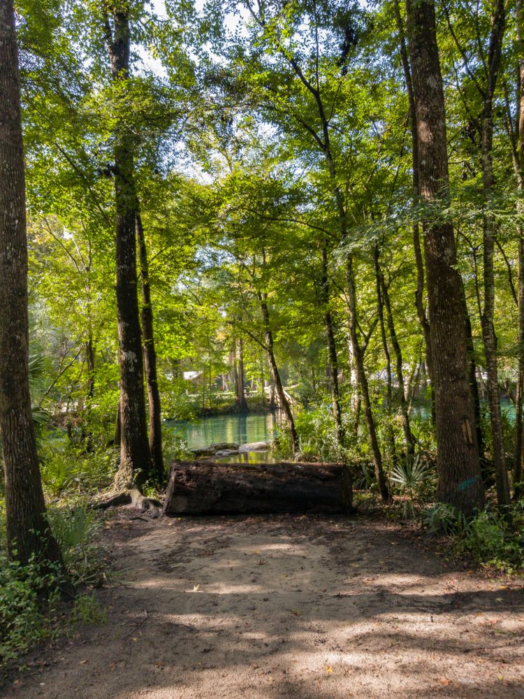 20 Best Things to Do in North Florida - Travel Lens