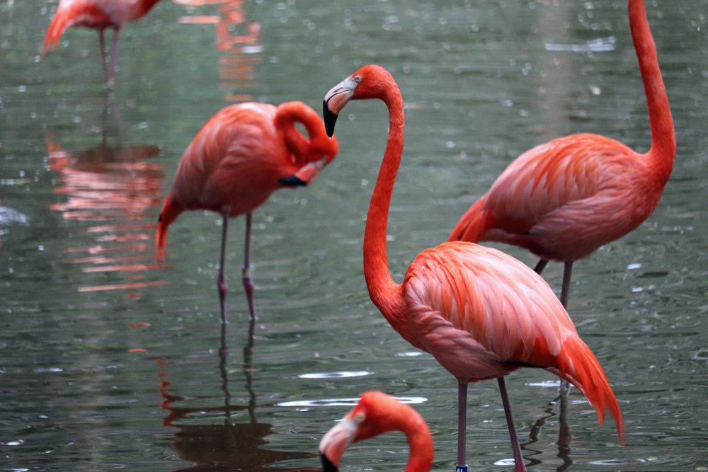 20 Best Things to Do in North Florida - Travel Lens