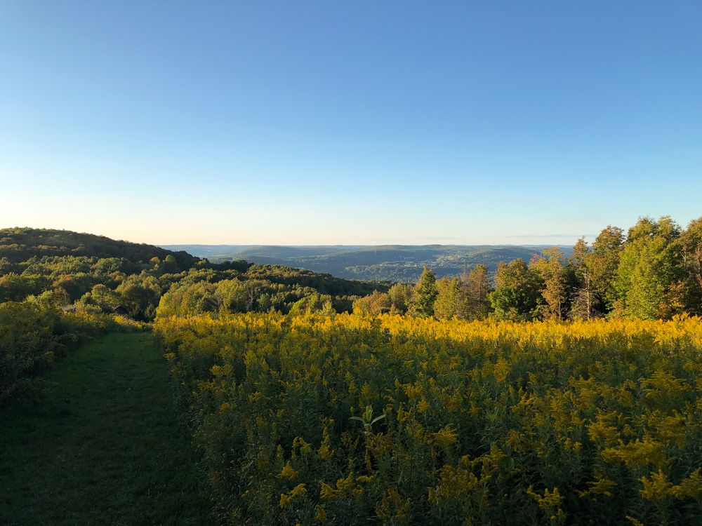 20 Best Things to Do in Oneonta, NY - Travel Lens