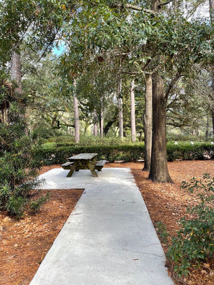 20 Best Things to Do in North Florida - Travel Lens