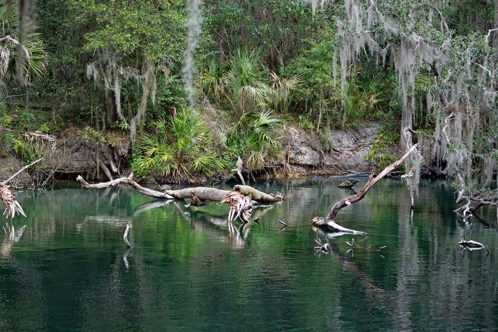 15 Best Things to Do in Cassadaga, FL - Travel Lens