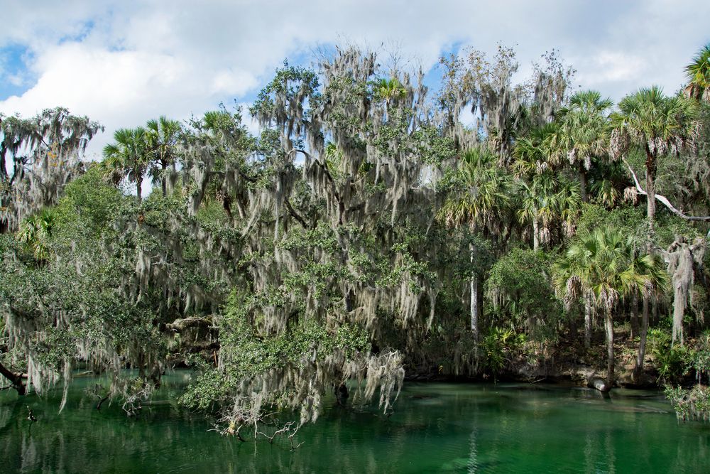 15 Best Things to Do in Cassadaga, FL - Travel Lens