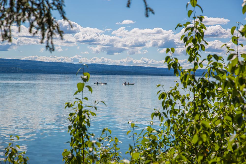 20 Best Things to Do in Soldotna, AK - Travel Lens