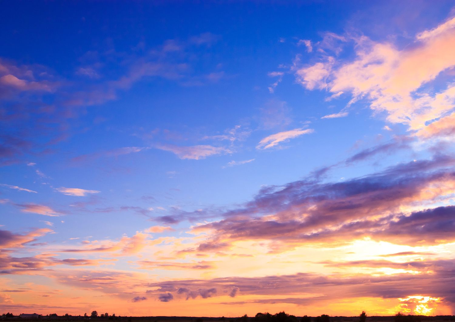 21 Best Things to Do in Tryon, NC - Travel Lens