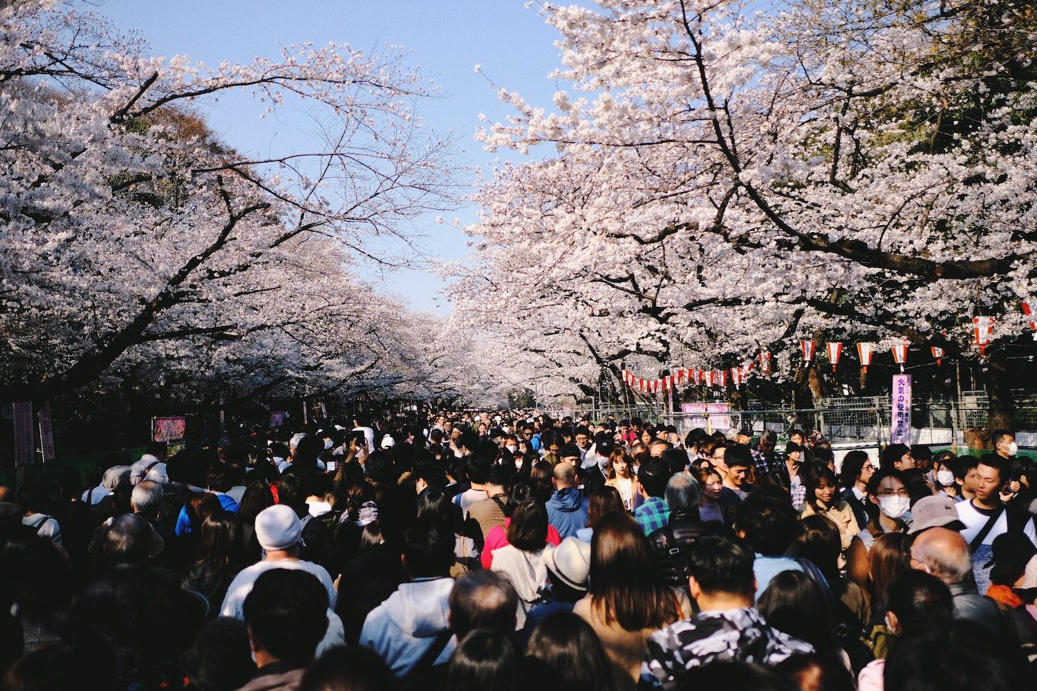 15 Best Things to Do in Ueno, Japan - Travel Lens